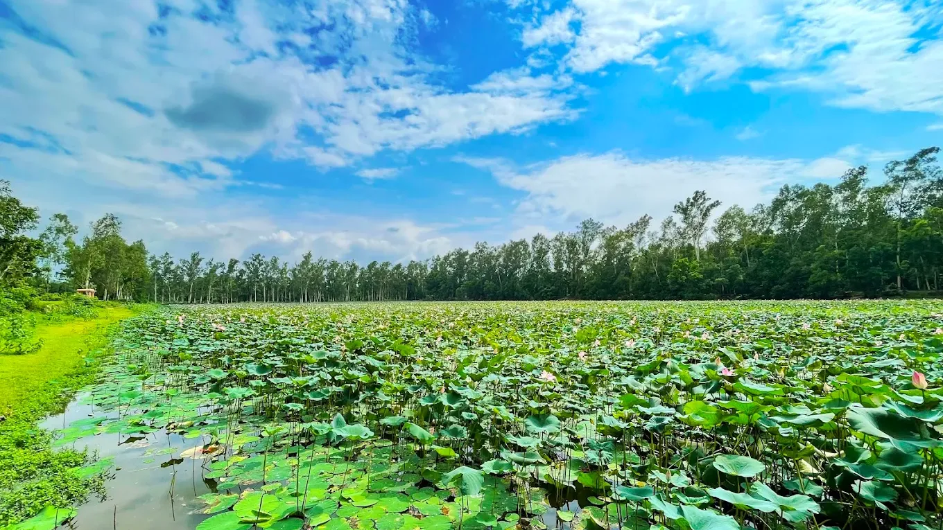 Alta Dighi National Park - Tourist Places in Naogaon | Tourfo.com | Tourfo